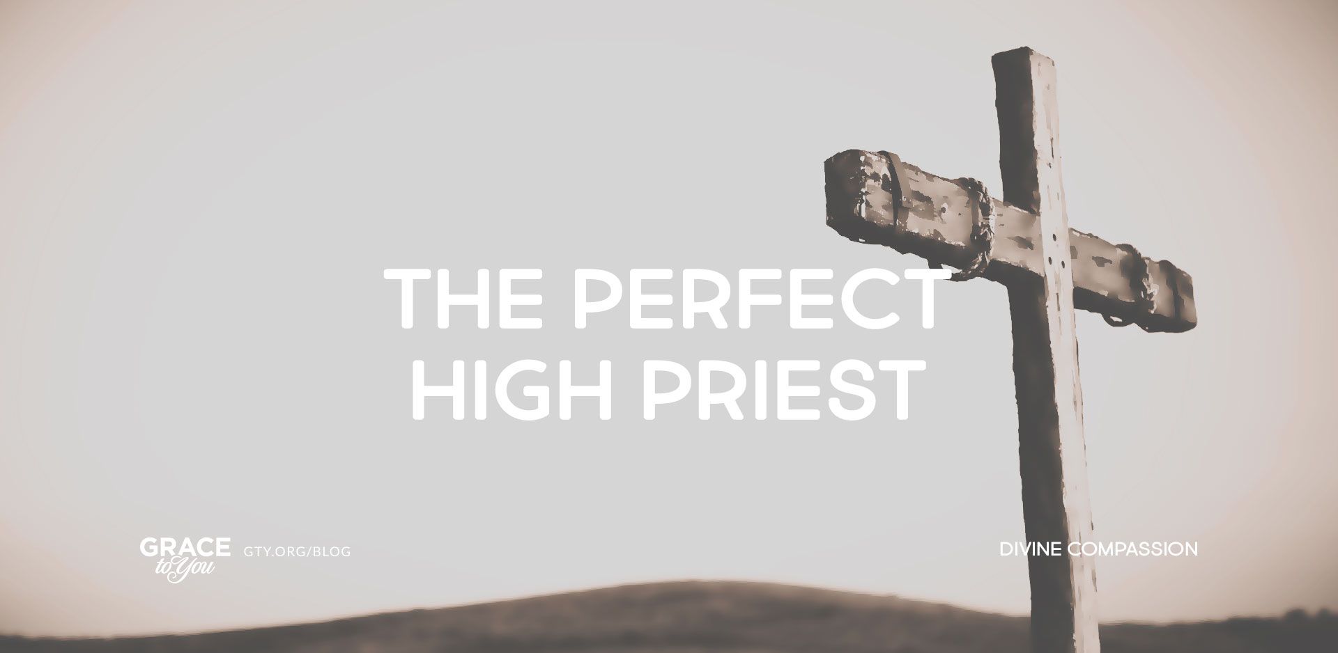 The Perfect High Priest