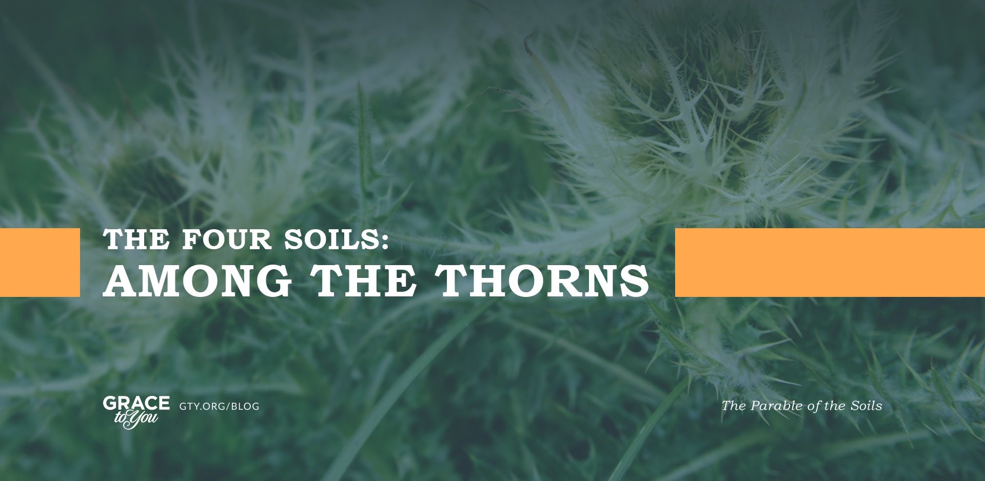 The Four Soils: Among the Thorns