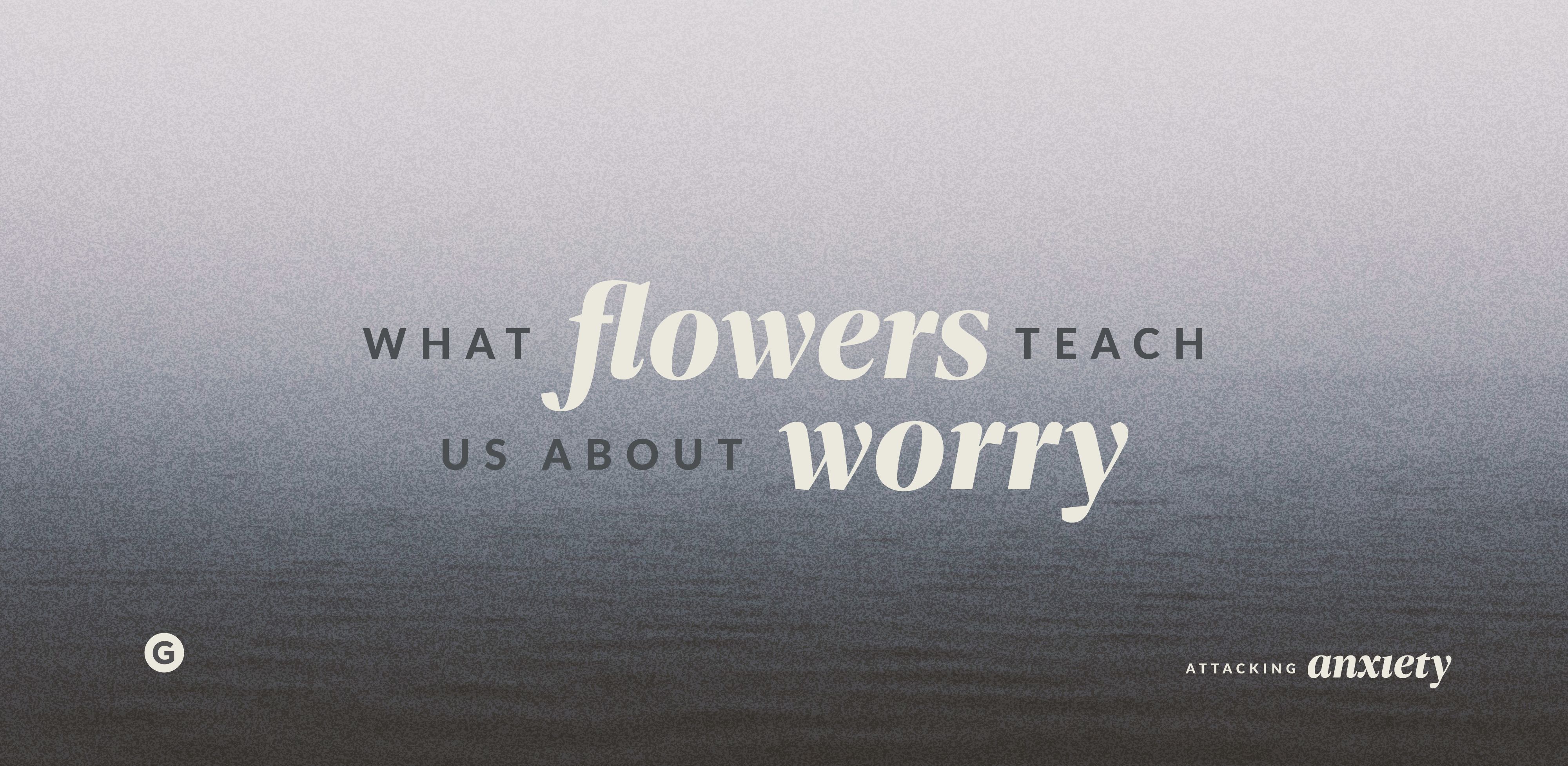 What Flowers Teach Us About Worry