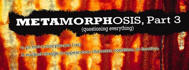 Metamorphosis, Part 3 (Questioning Everything)