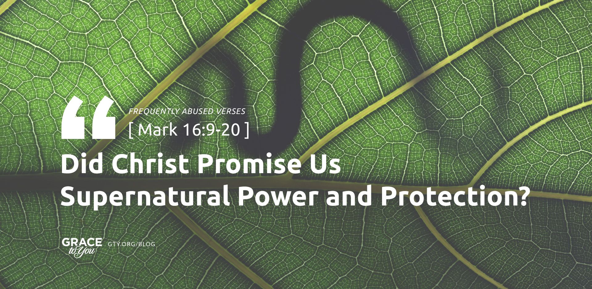 Did Christ Promise Us Supernatural Power and Protection?