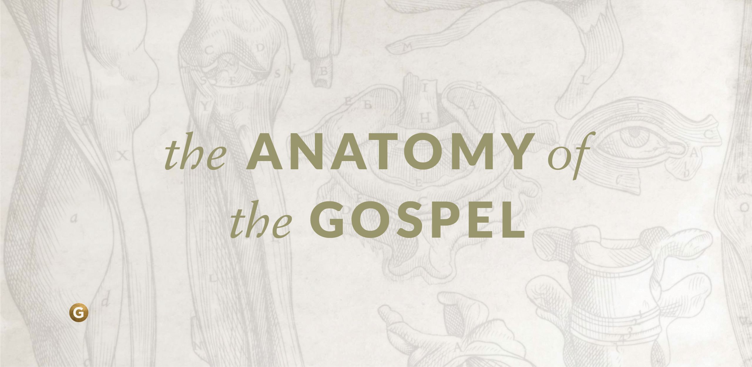 The Anatomy of the Gospel