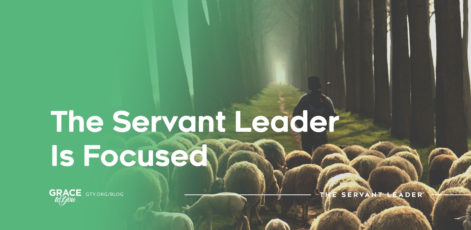 The Servant Leader Is Focused